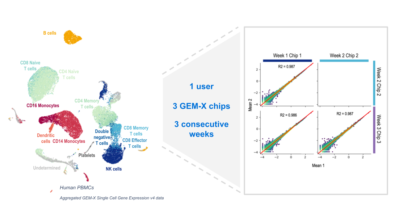 The neXt generation of single cell RNA-seq: An introduction to GEM-X technology - 10x Genomics